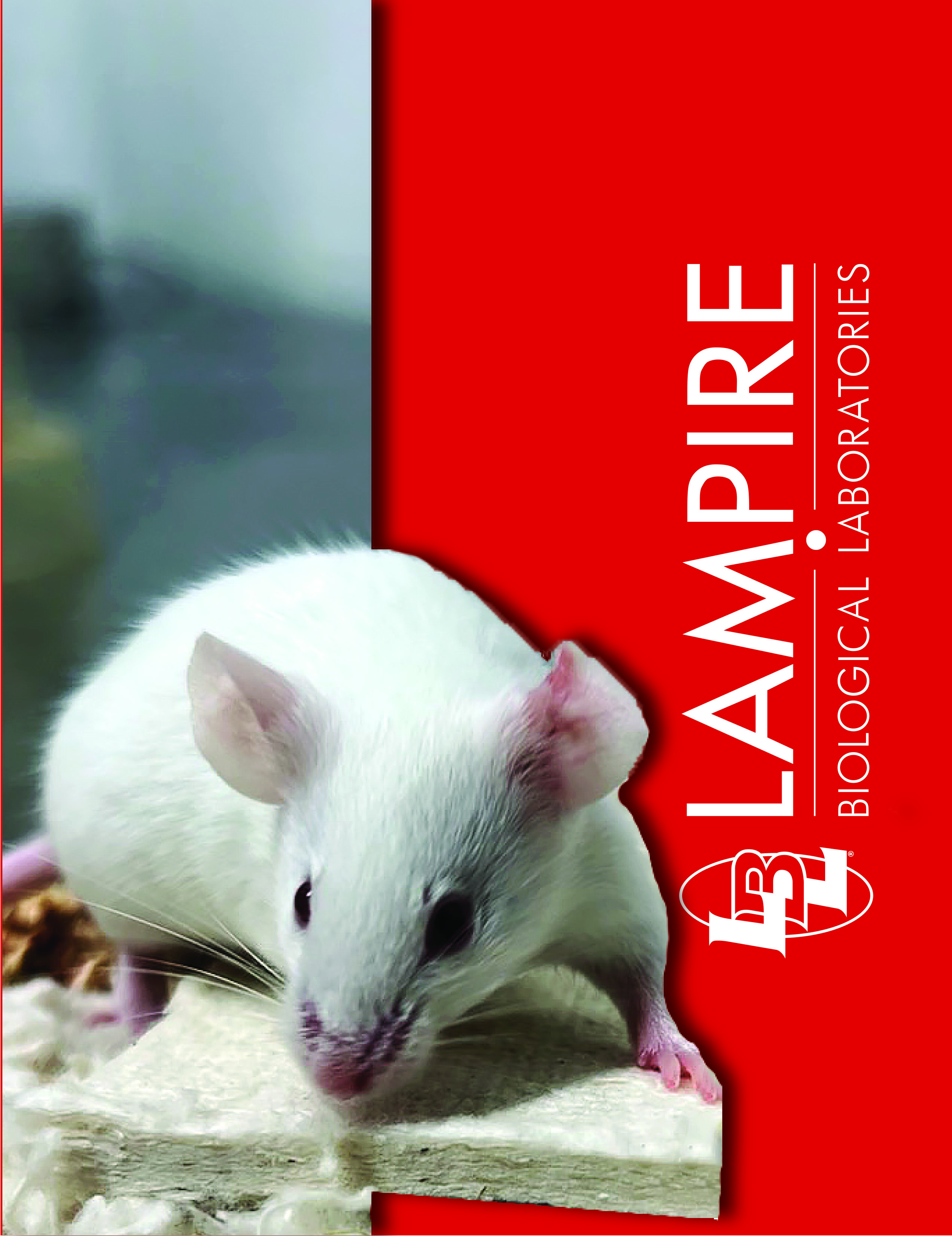 MOUSE | Lampire Biological Laboratories, Inc.